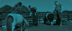 About Us – David Lewis